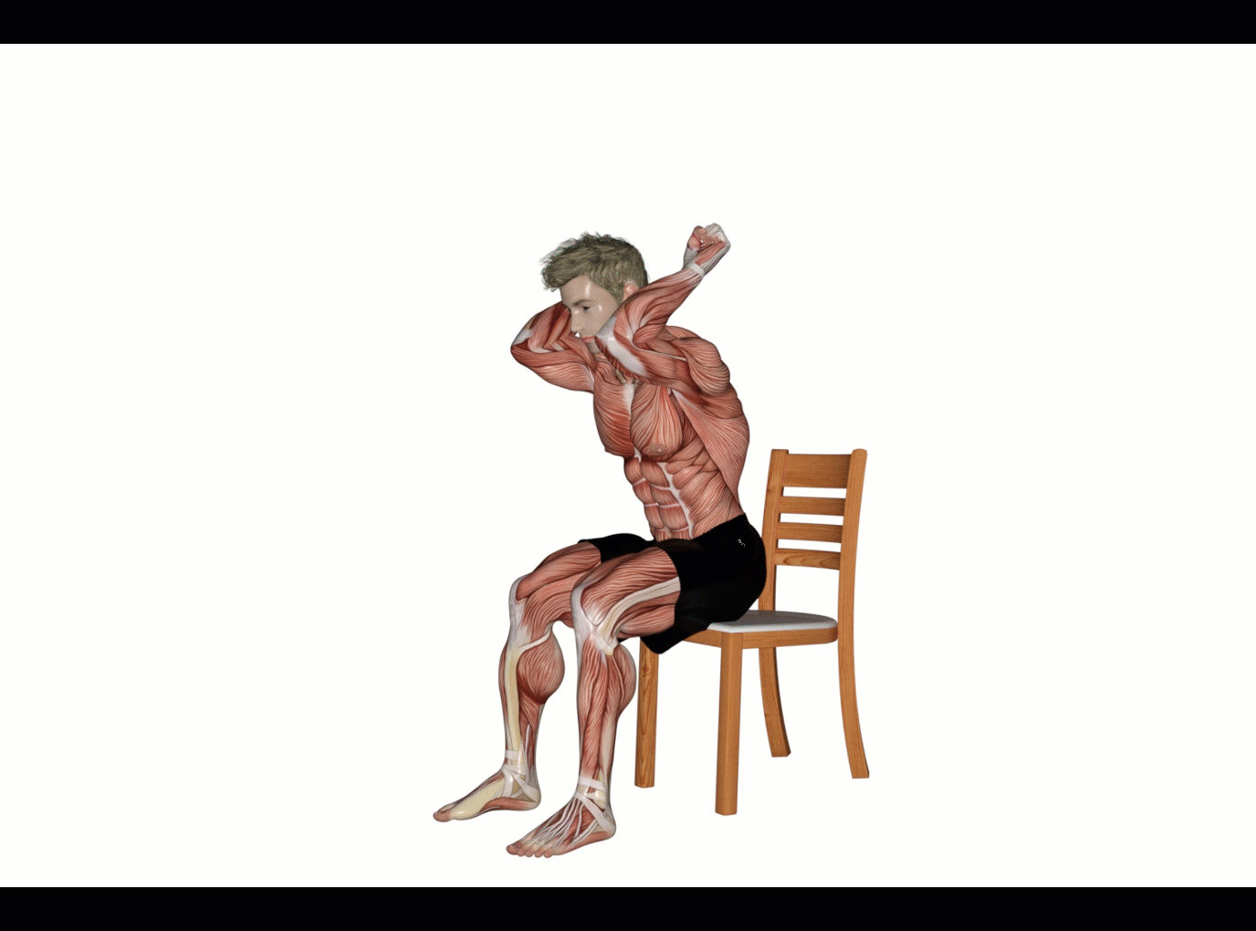 Overhead Tricep Extension Your Fitness Success