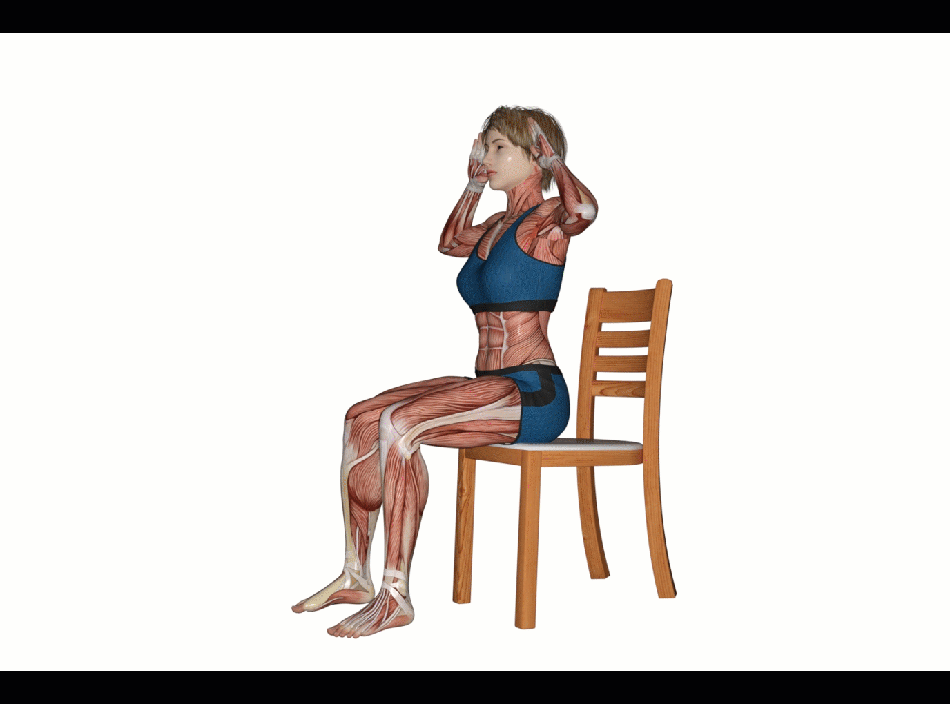 Seated crunch – Your fitness success!